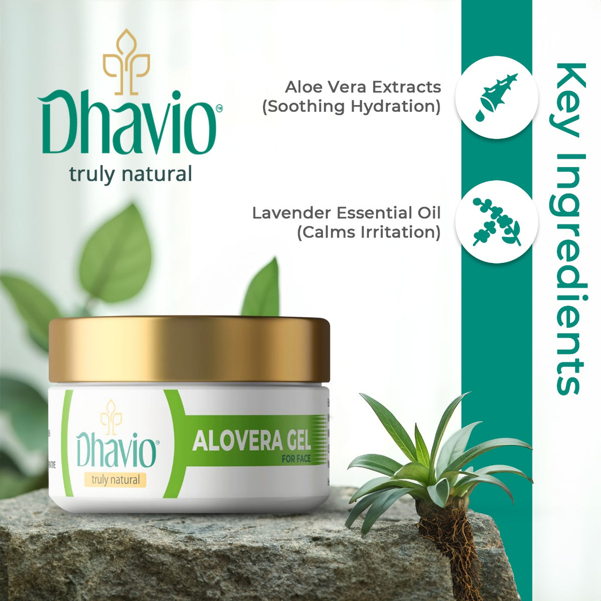 Aloe Vera Gel (Face) – DHAVIO